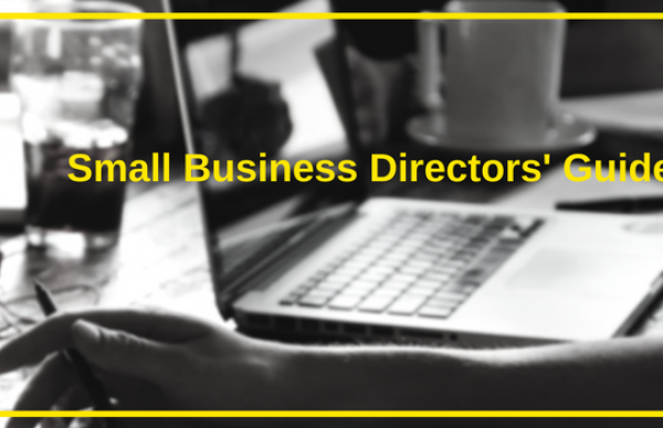 Small Business Directors' Guide | Advivo