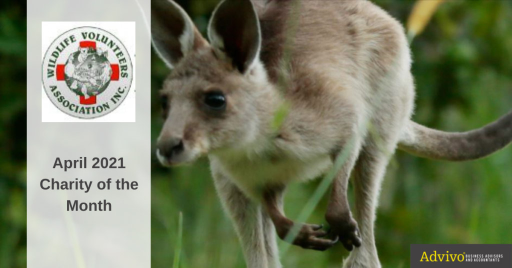 April 2021 Charity Of The Month | Advivo